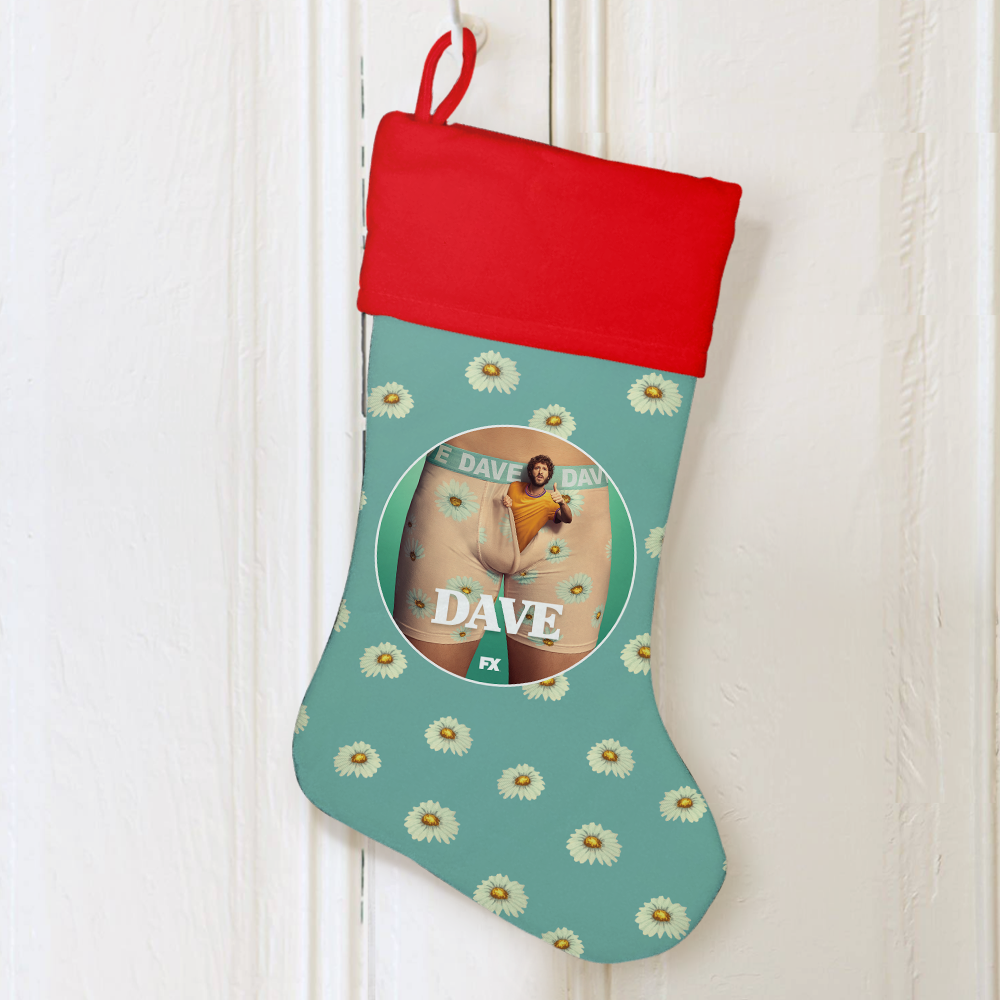 DAVE Season 1 Art Stocking | Shop Hulu